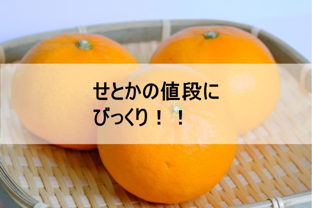 せとかの値段はスーパーでいくら？どこに売ってる？スーパー以外の入手方法は？ | アフロジョニーのライフスタイル